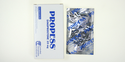 프로페스 질서방정 [10mg] ( Propess vag SR tab [10mg]) | 의약품정보 | 의료정보 | 건강정보 ...